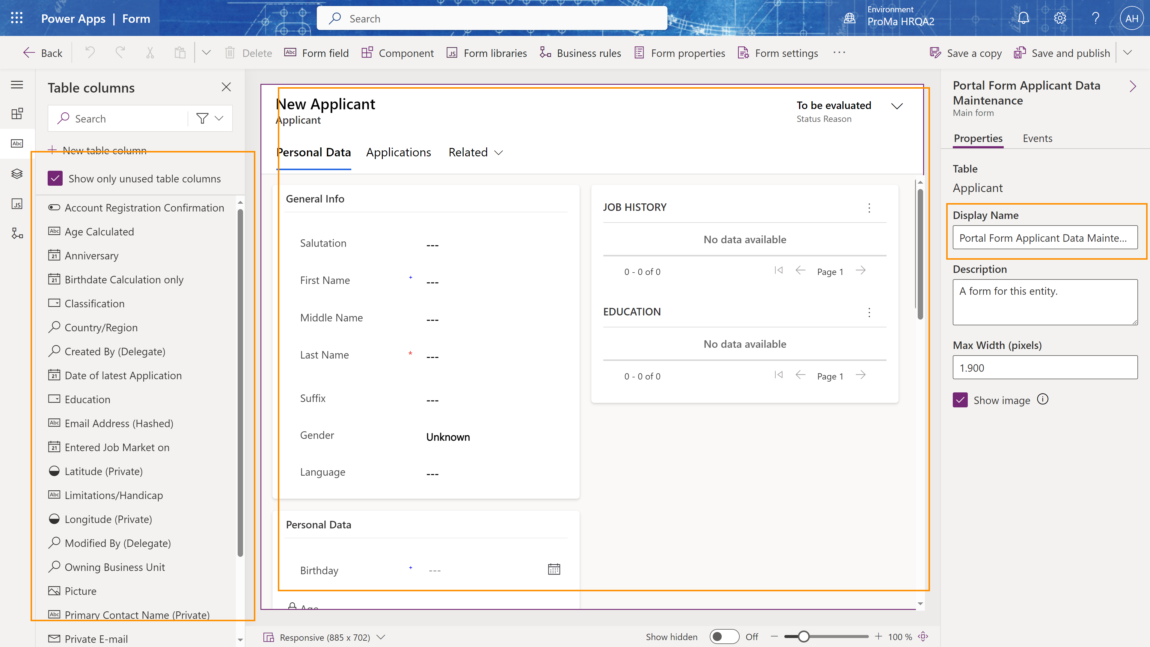 Optional: Customize the Applicant Portal Form and Application Portal Form